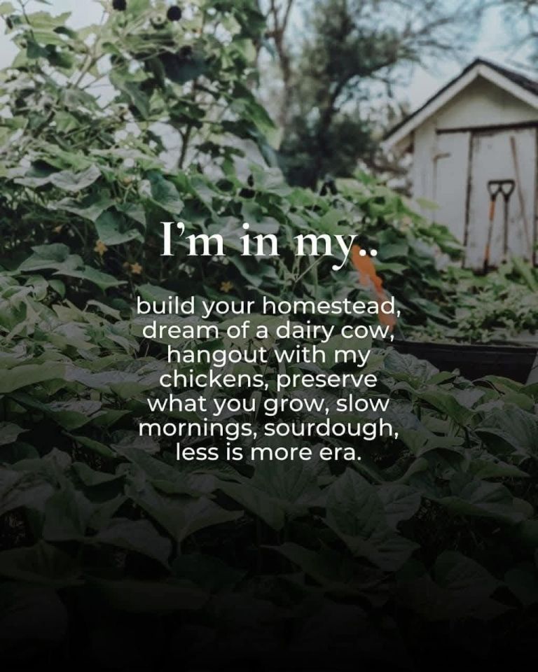 How to Start a Small Hobby Farm on a Budget (Step-by-Step Guide ...